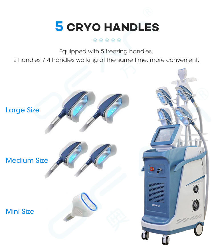 360 Cryolipolysis